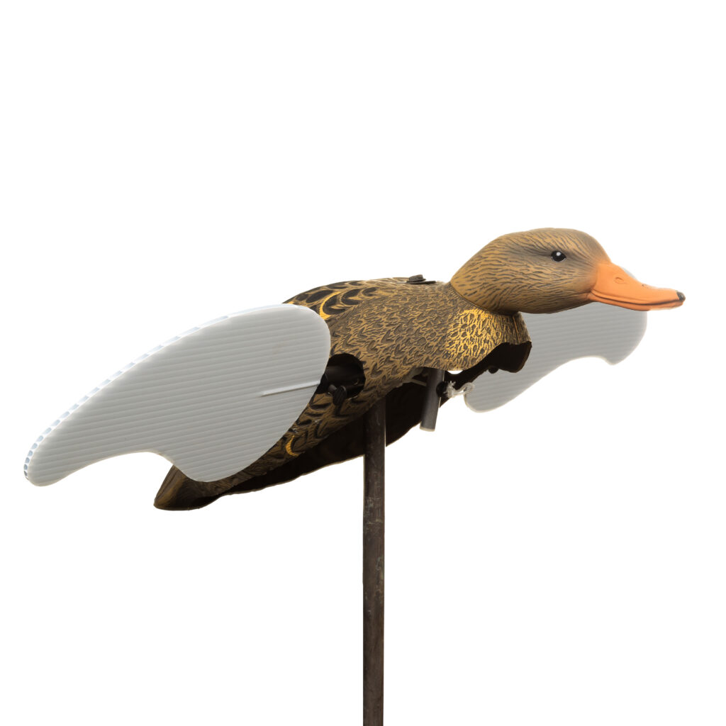 Shop – Decoy Dancer