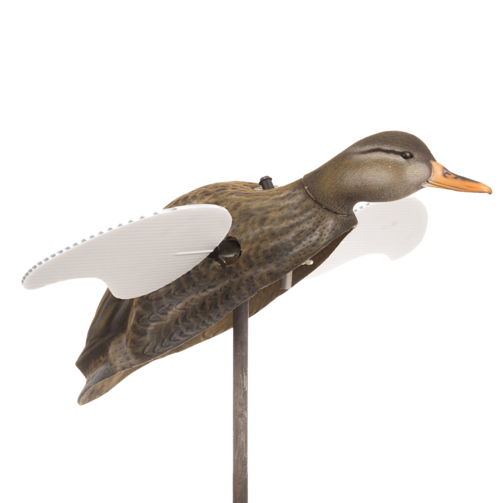 Migration Series WhipSplash | Hen Mallard – Decoy Dancer