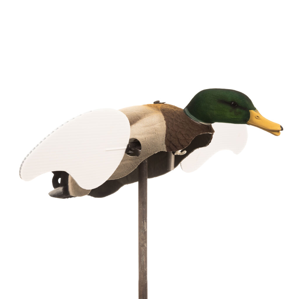 WhipSplash | Drake – Decoy Dancer